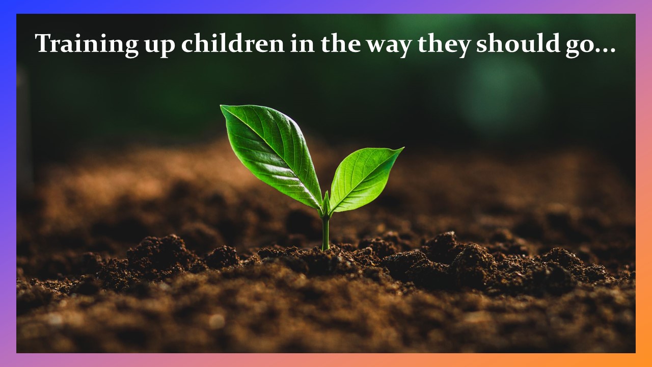 articles-and-external-resources-training-up-your-children-in-the-way